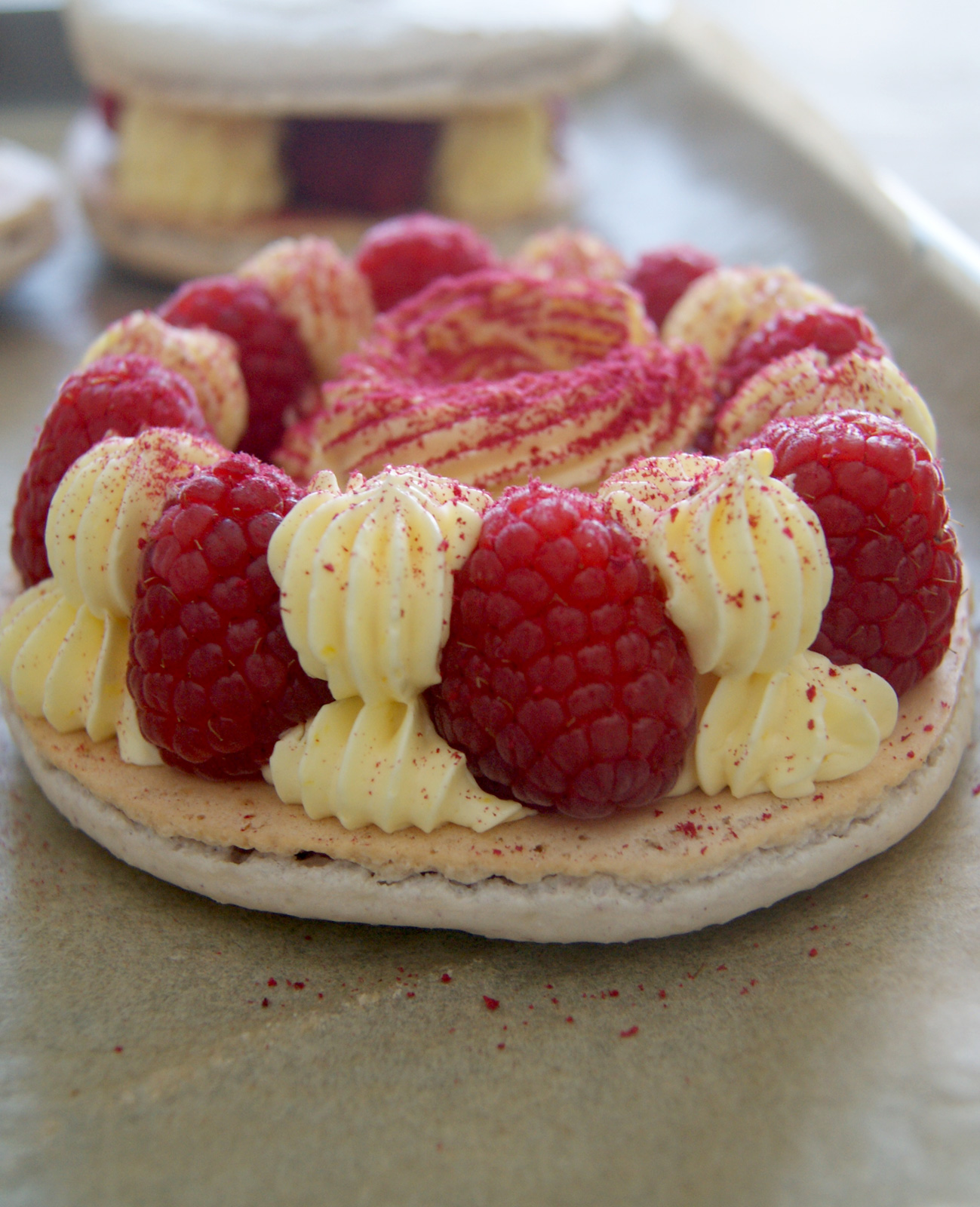 How to Make Large Raspberry Macarons – Lady of the Ladle